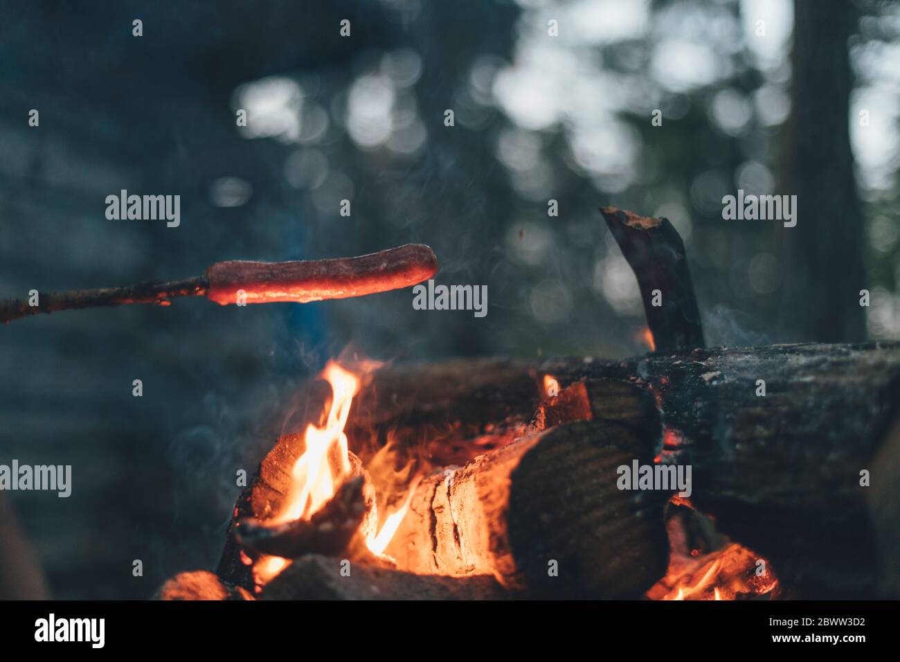 Sausage roasting on a stick over campfire Stock Photo - Alamy