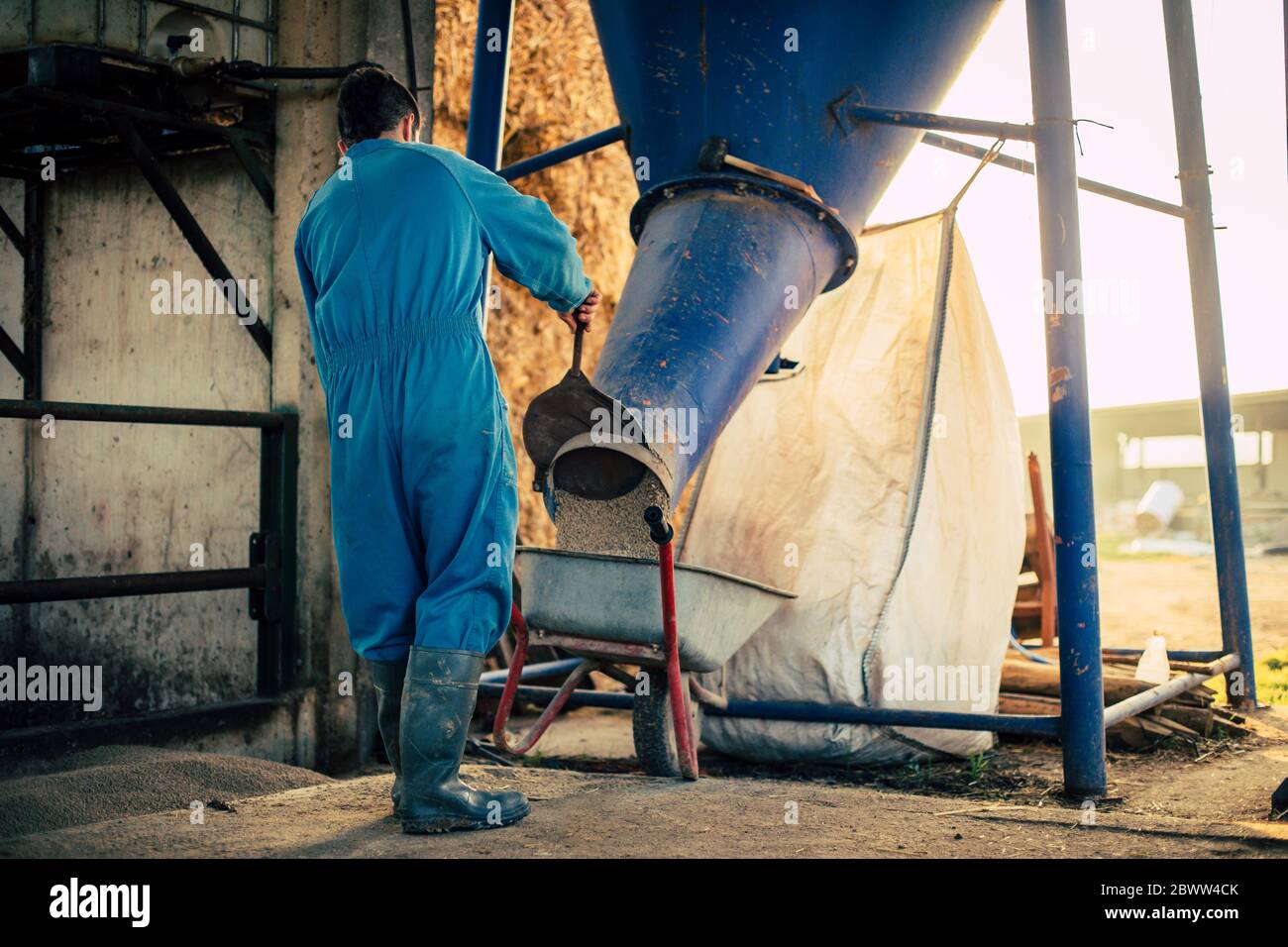 Young farmer wearing blue overall unloading feed from a silo into ...