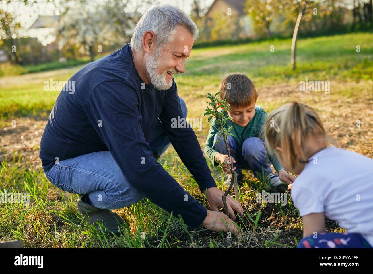 Smiling mature man planting tree with grandchildren at garden Stock ...