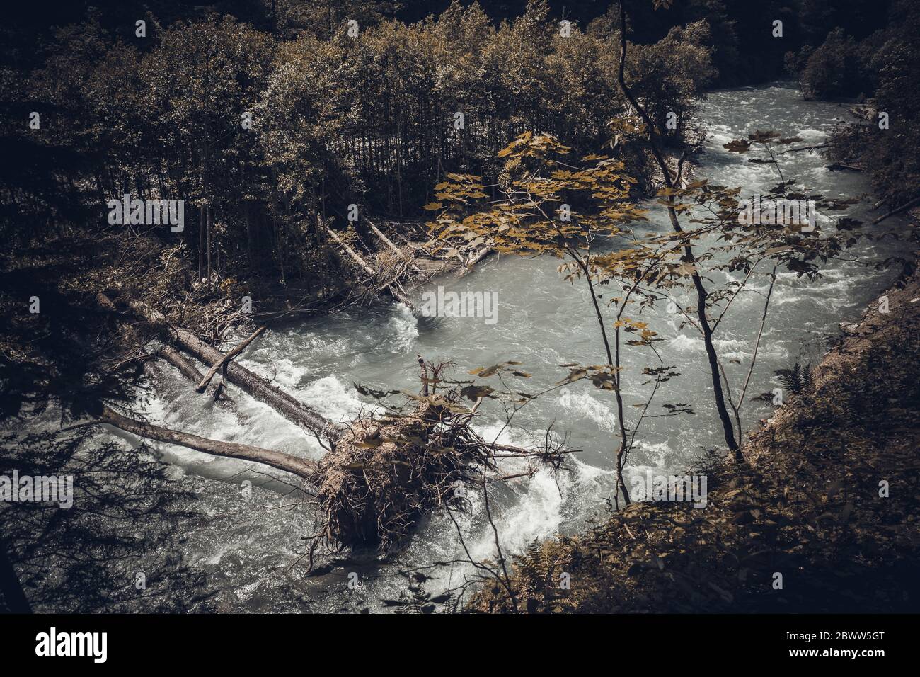 Beautiful scene with mountain river and fallen tree Stock Photo - Alamy