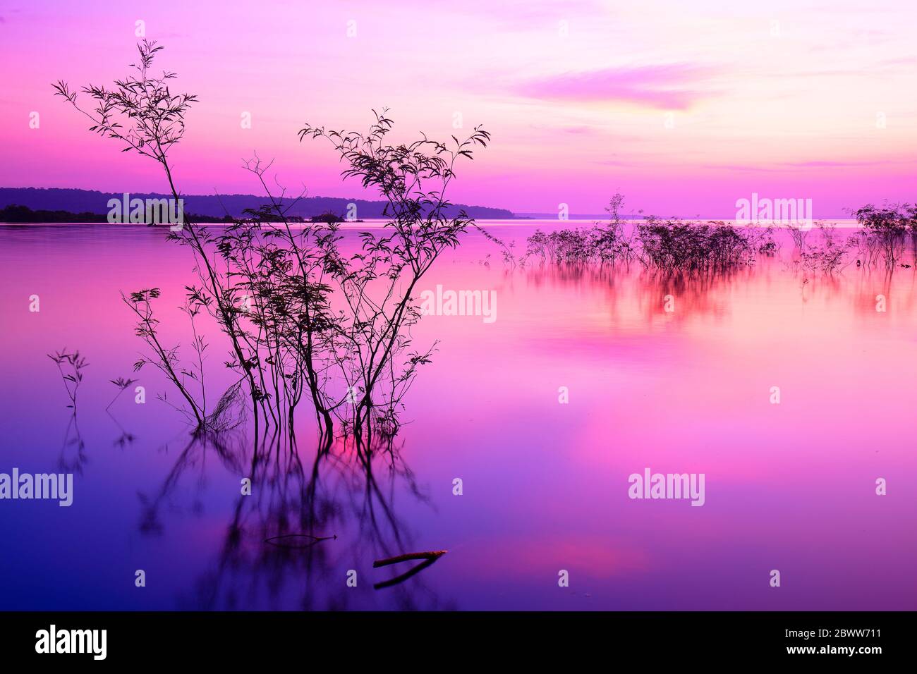 The amazon basin hi-res stock photography and images - Alamy