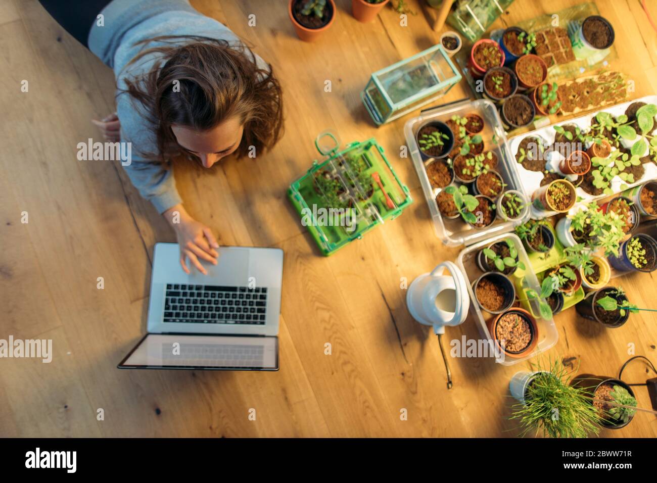 Plants next to computer hi-res stock photography and images - Alamy