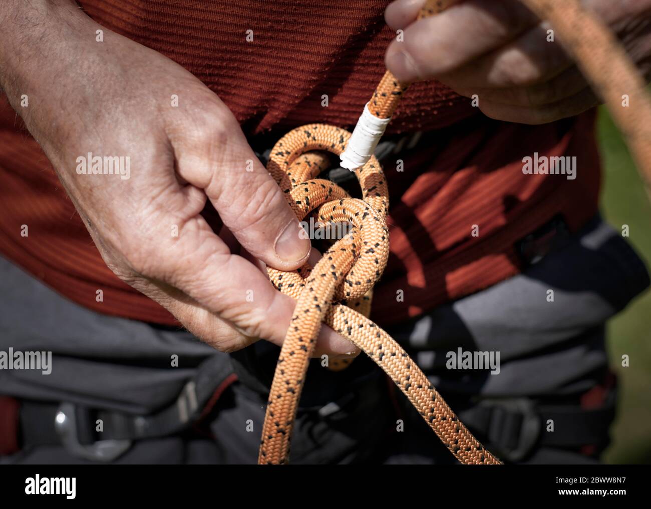 Tying a figure of eight to a rock climbing harness Stock Photo - Alamy