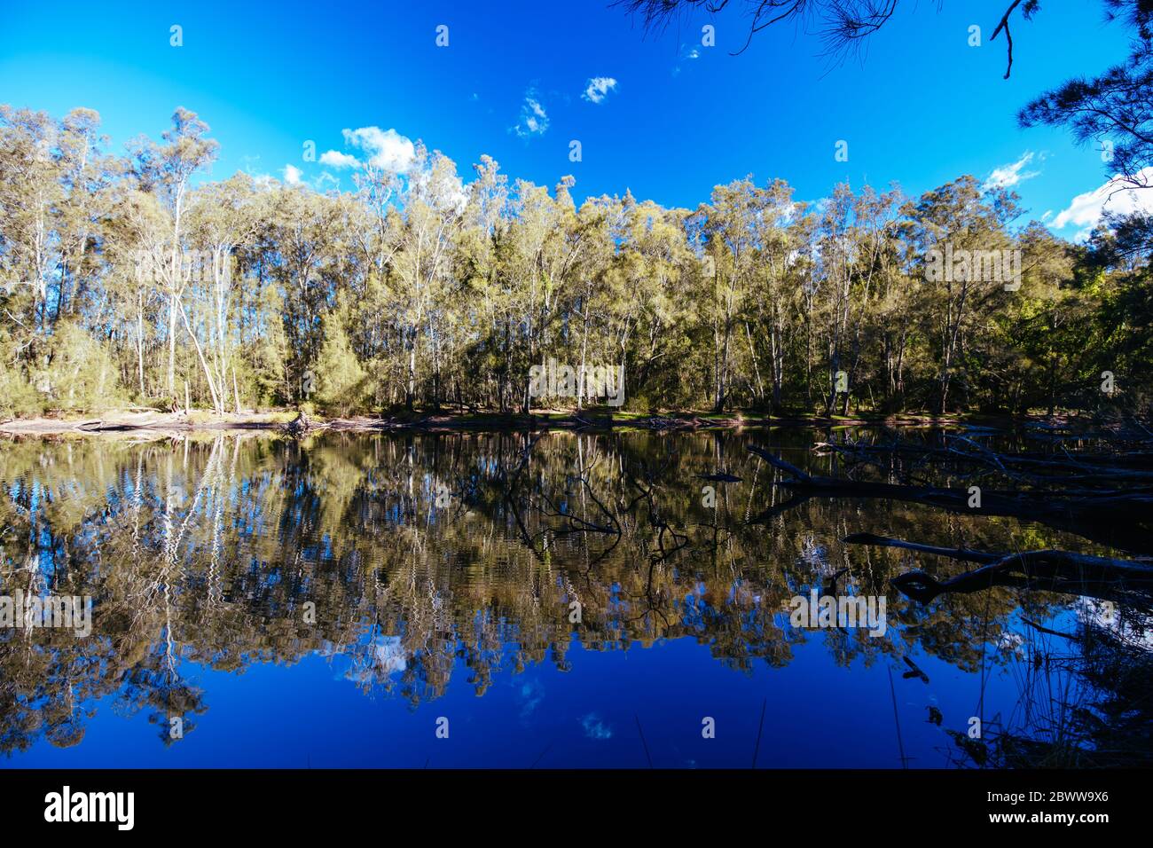 Bodalla hi-res stock photography and images - Alamy
