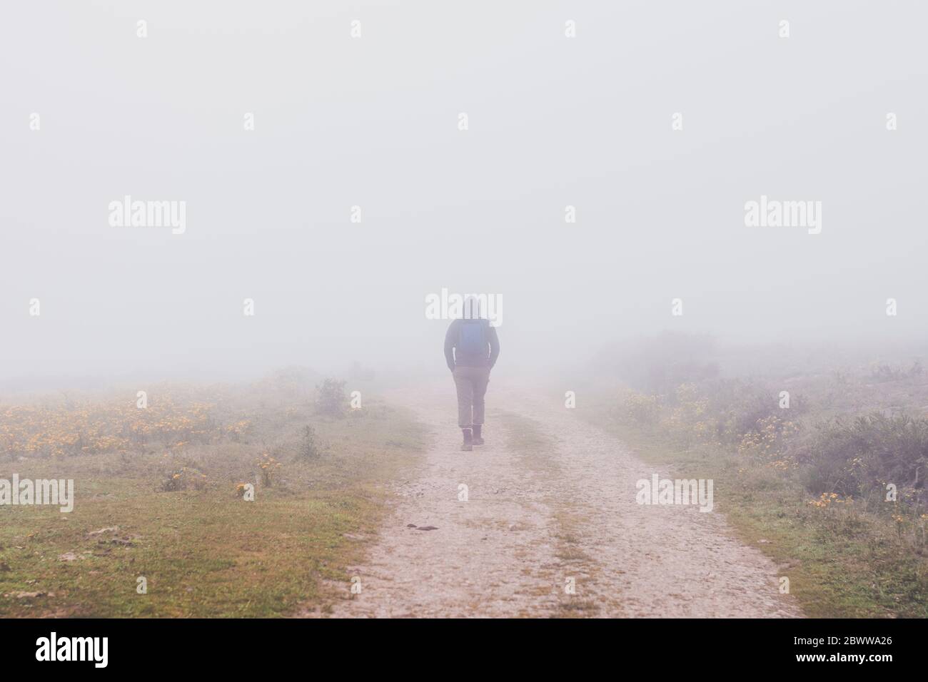 Man walking into fog hi-res stock photography and images - Alamy