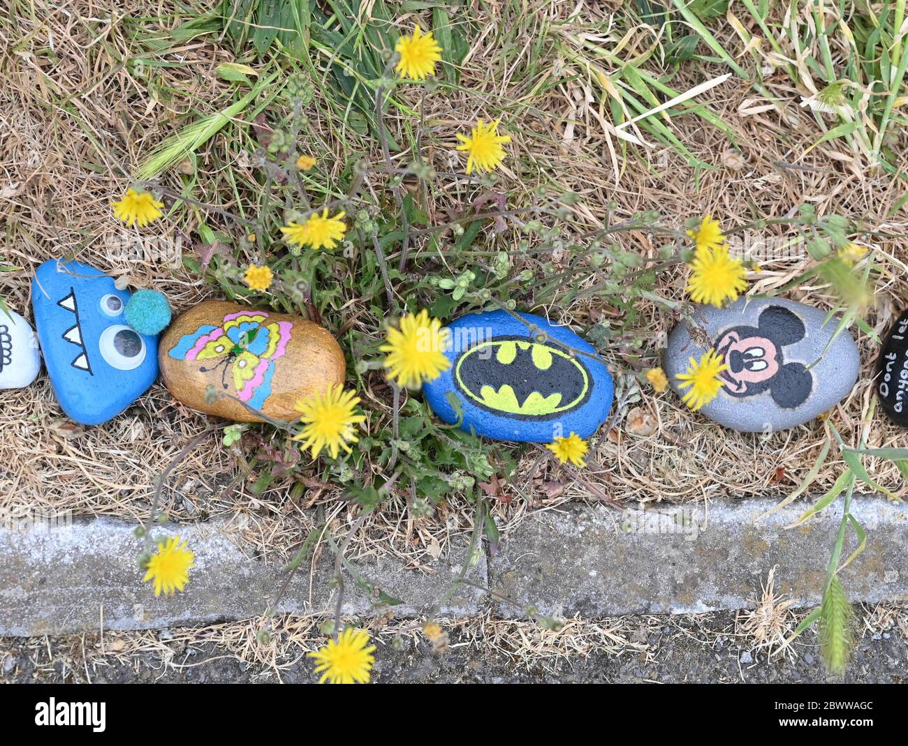 Brighton UK 3rd June 2020 - A COVID-19 Rock Snake has been created with ...