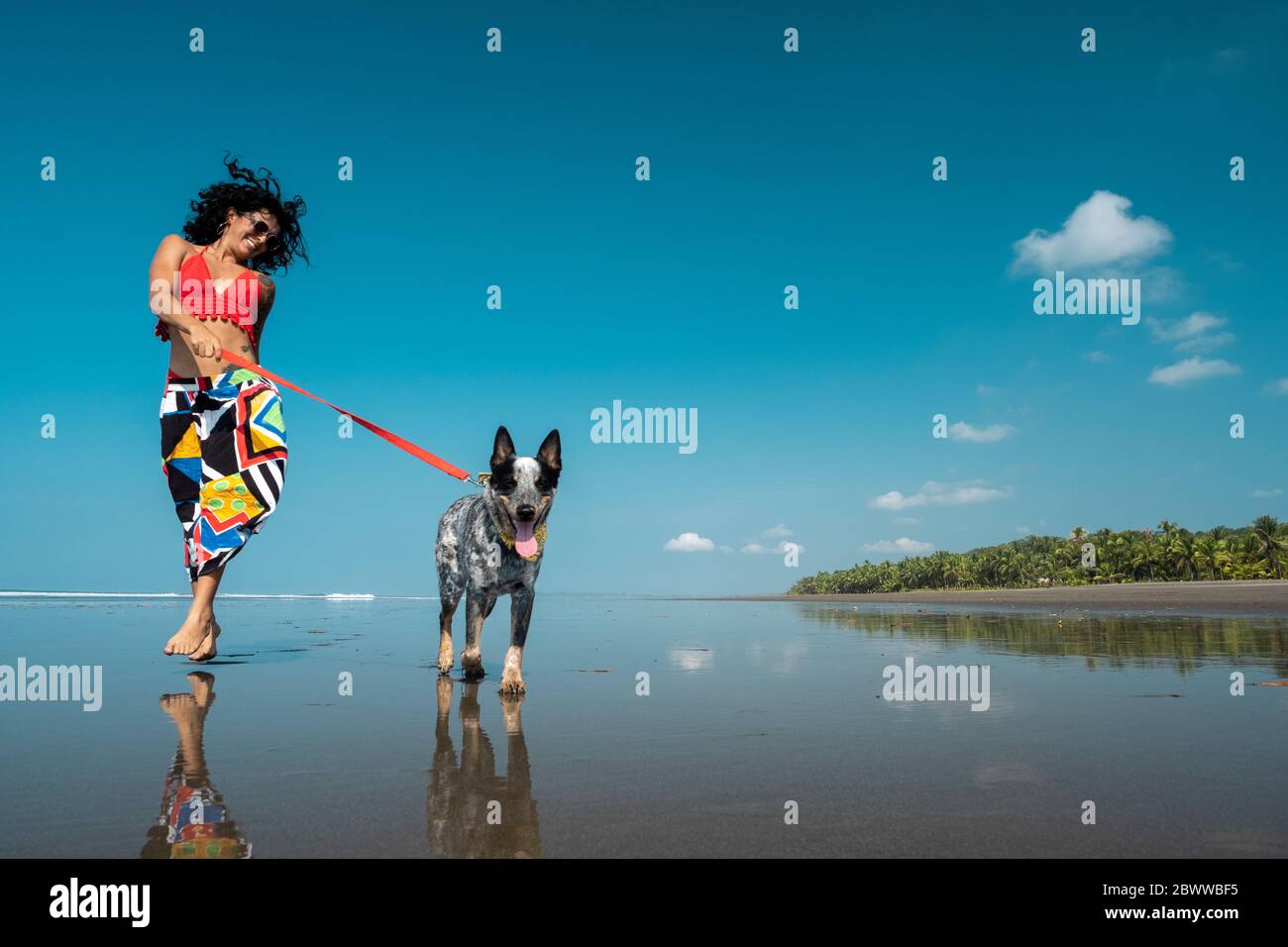 Carefree young woman taking her dog for a walk at the beach, Costa Rica ...