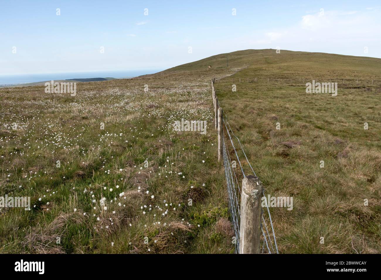 Overgrazing land hi-res stock photography and images - Alamy