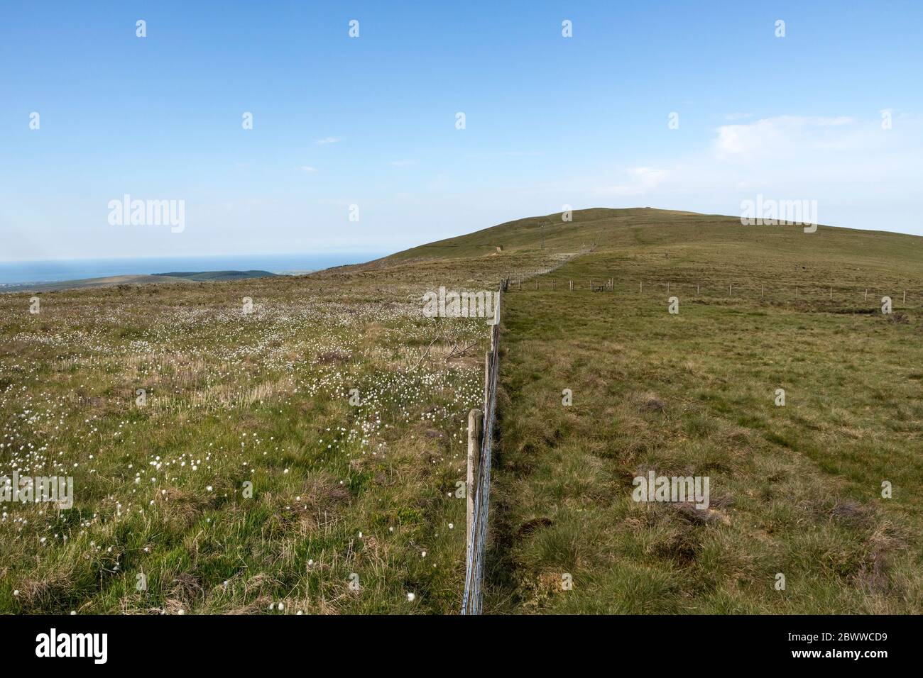 Overgrazing land hi-res stock photography and images - Alamy