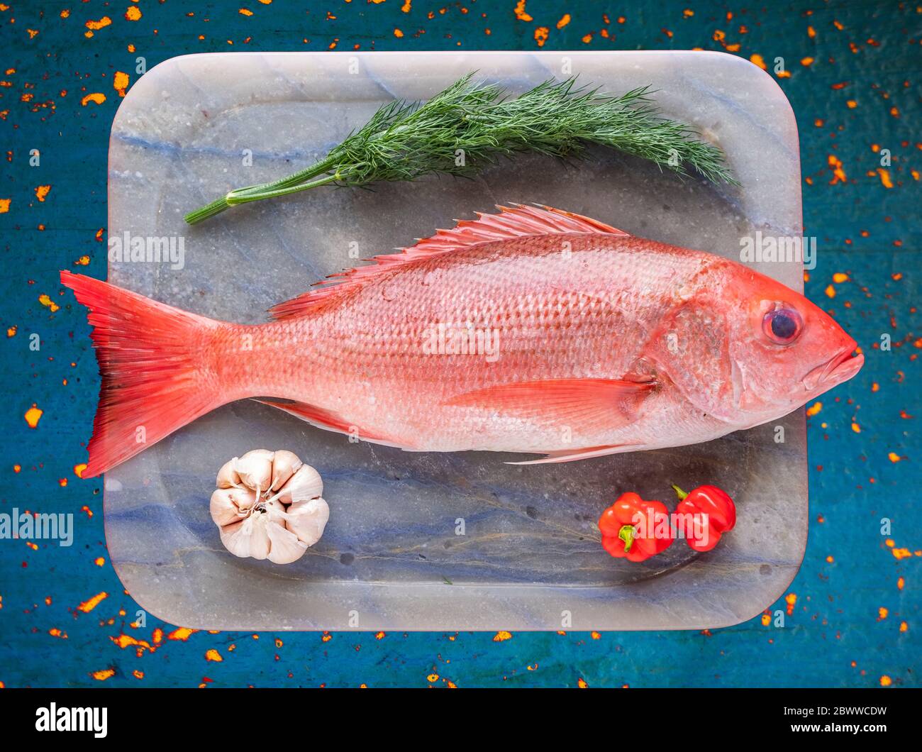 Tray with raw red snapper Stock Photo - Alamy