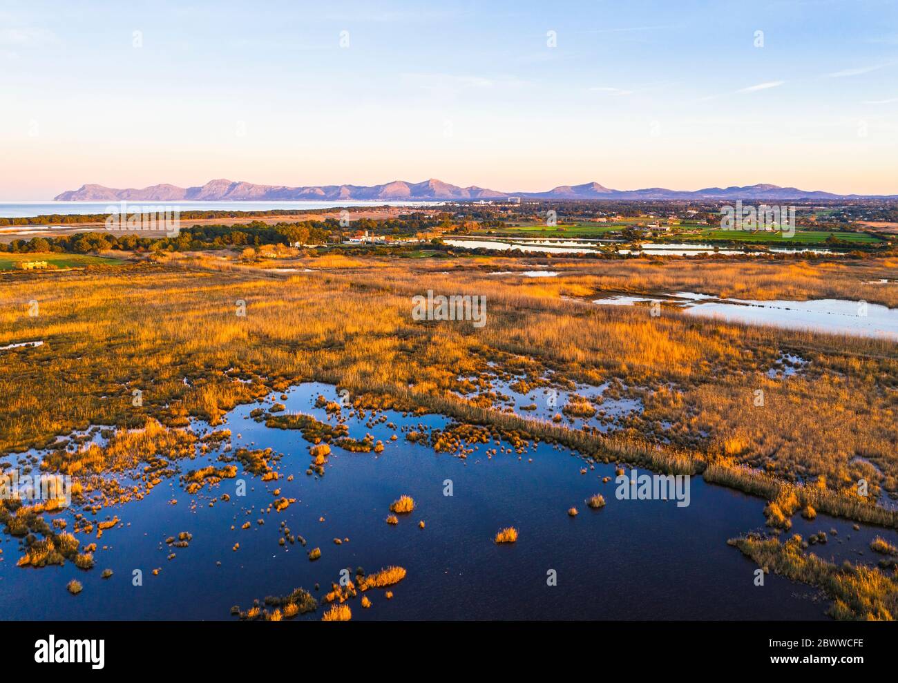 Parc natural de s'albufera de mallorca hi-res stock photography and ...