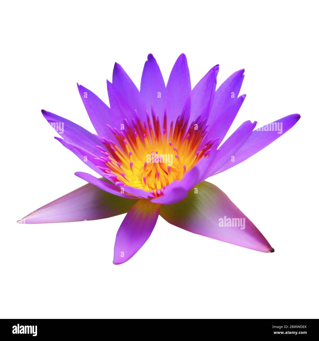 Natural view tranquil water Cut Out Stock Images & Pictures - Alamy