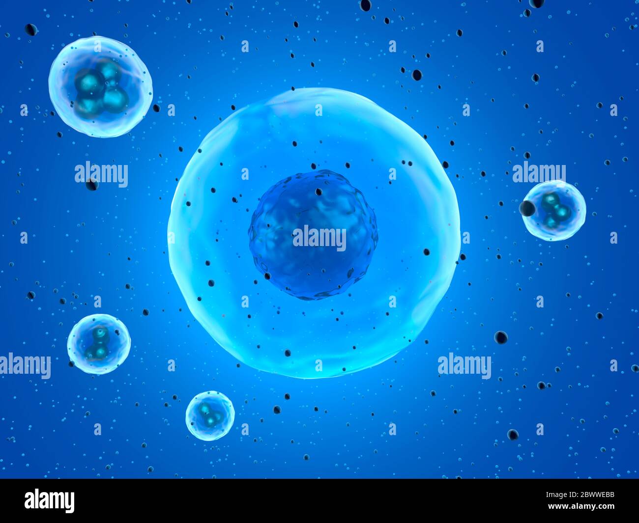 Three dimensional render of blue stem cells Stock Photo - Alamy