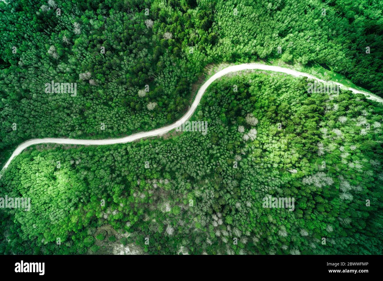 Top view rainforest jungle through hi-res stock photography and images ...