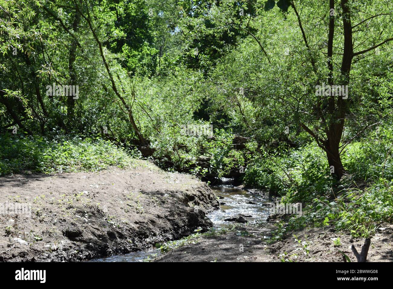 clear little stream Stock Photo - Alamy
