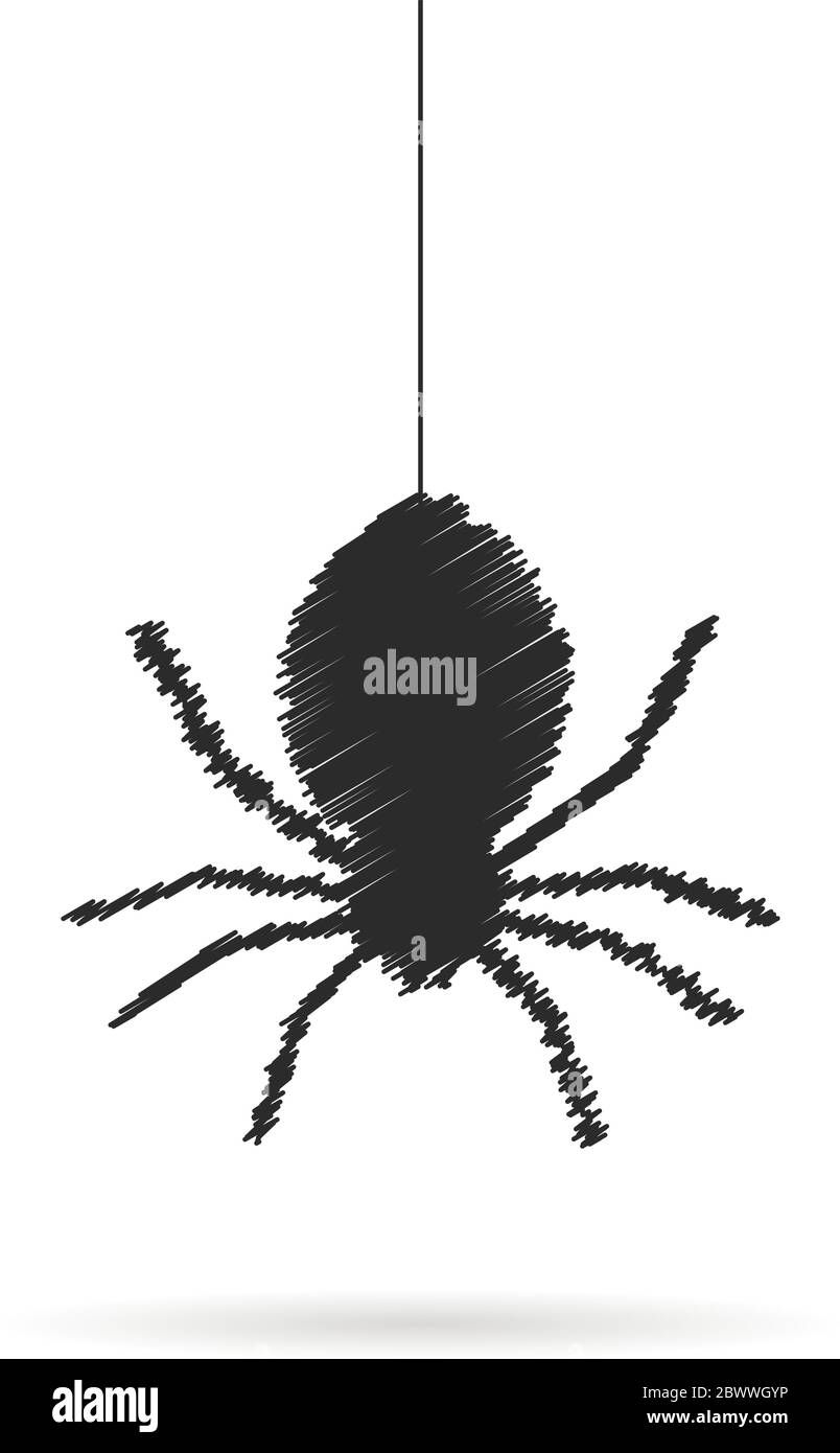 hand drawing spider icon with shadow Stock Vector Image & Art - Alamy