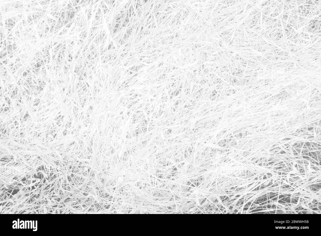 White Dried Straw Texture Background Stock Photo - Alamy