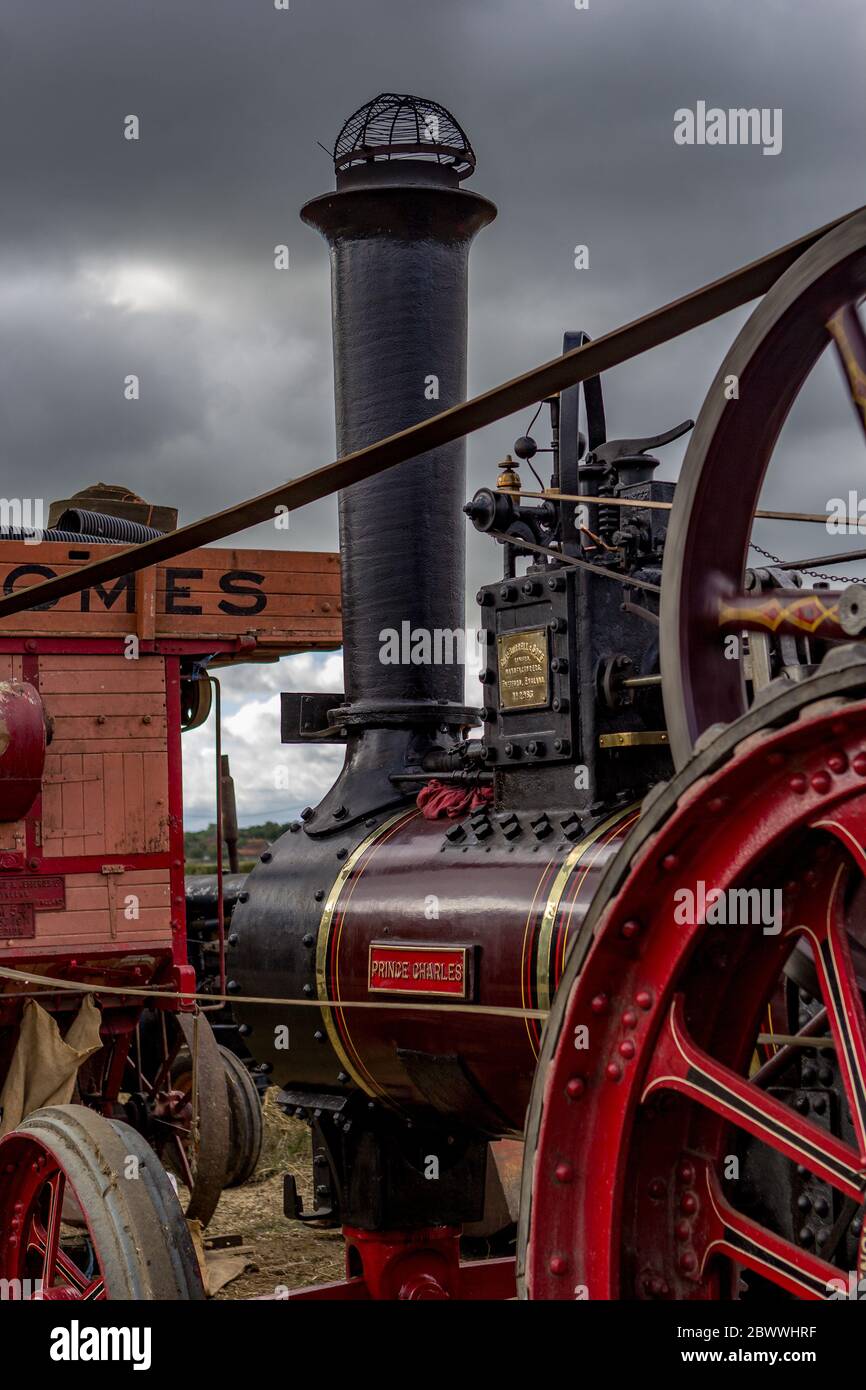 Steam traction engine powering a Ransomes threshing machine close up ...