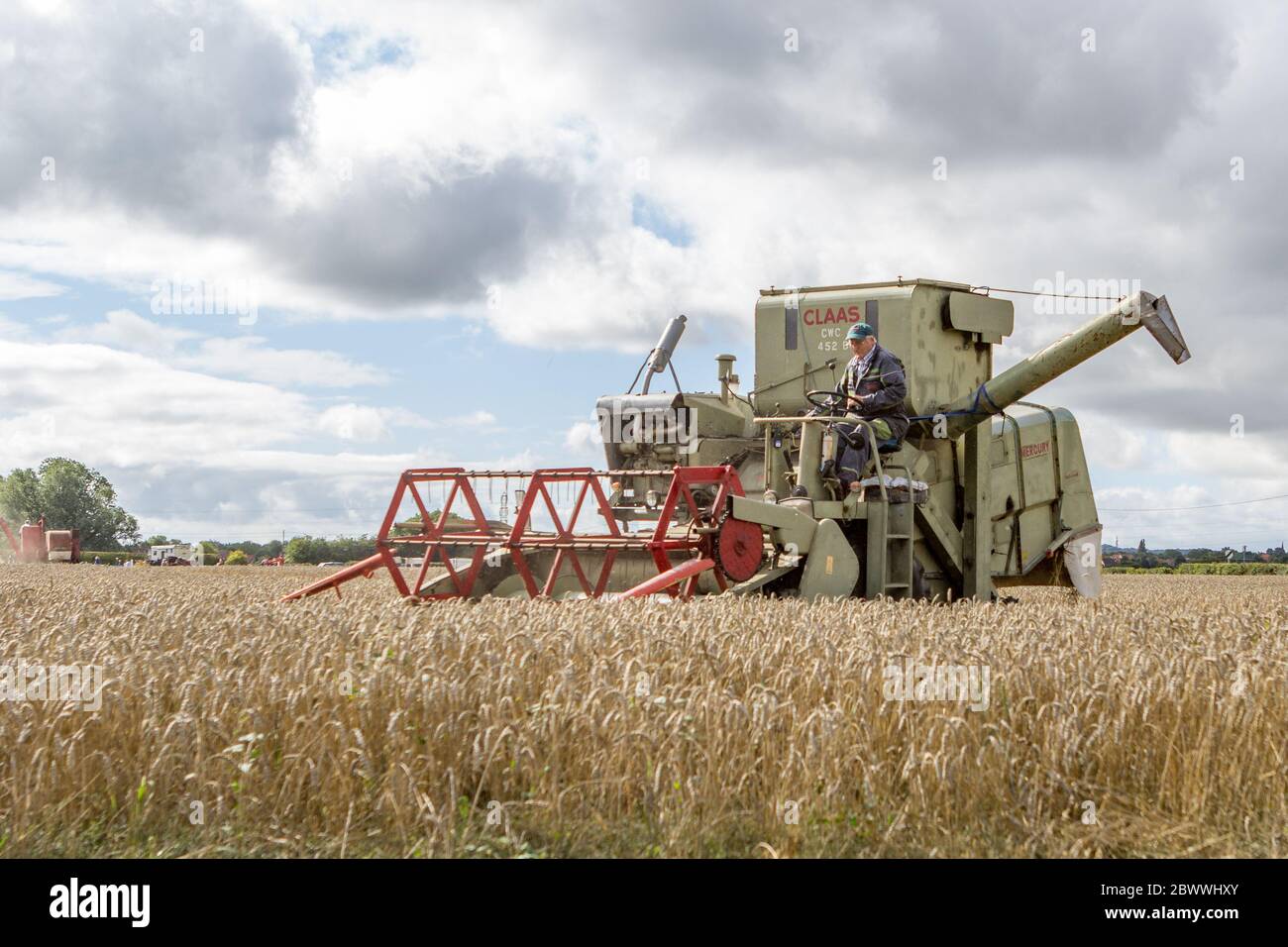 Open cab vintage Class combine harvester harvesting wheat Stock Photo ...