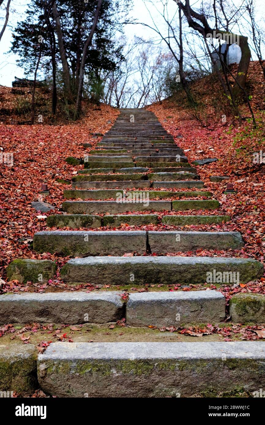 Stairs in yellow mountain hi-res stock photography and images - Alamy
