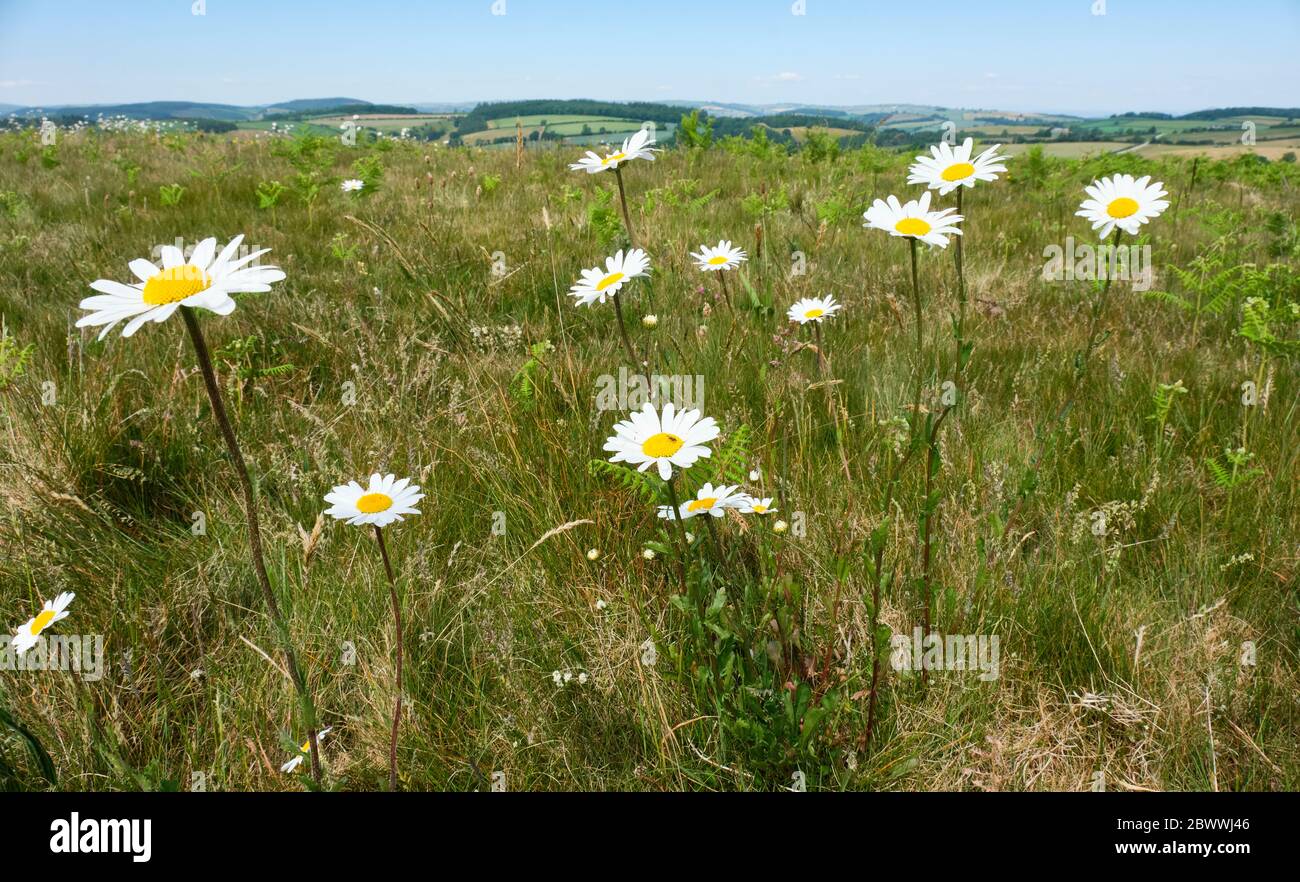 Hopesay hi-res stock photography and images - Alamy