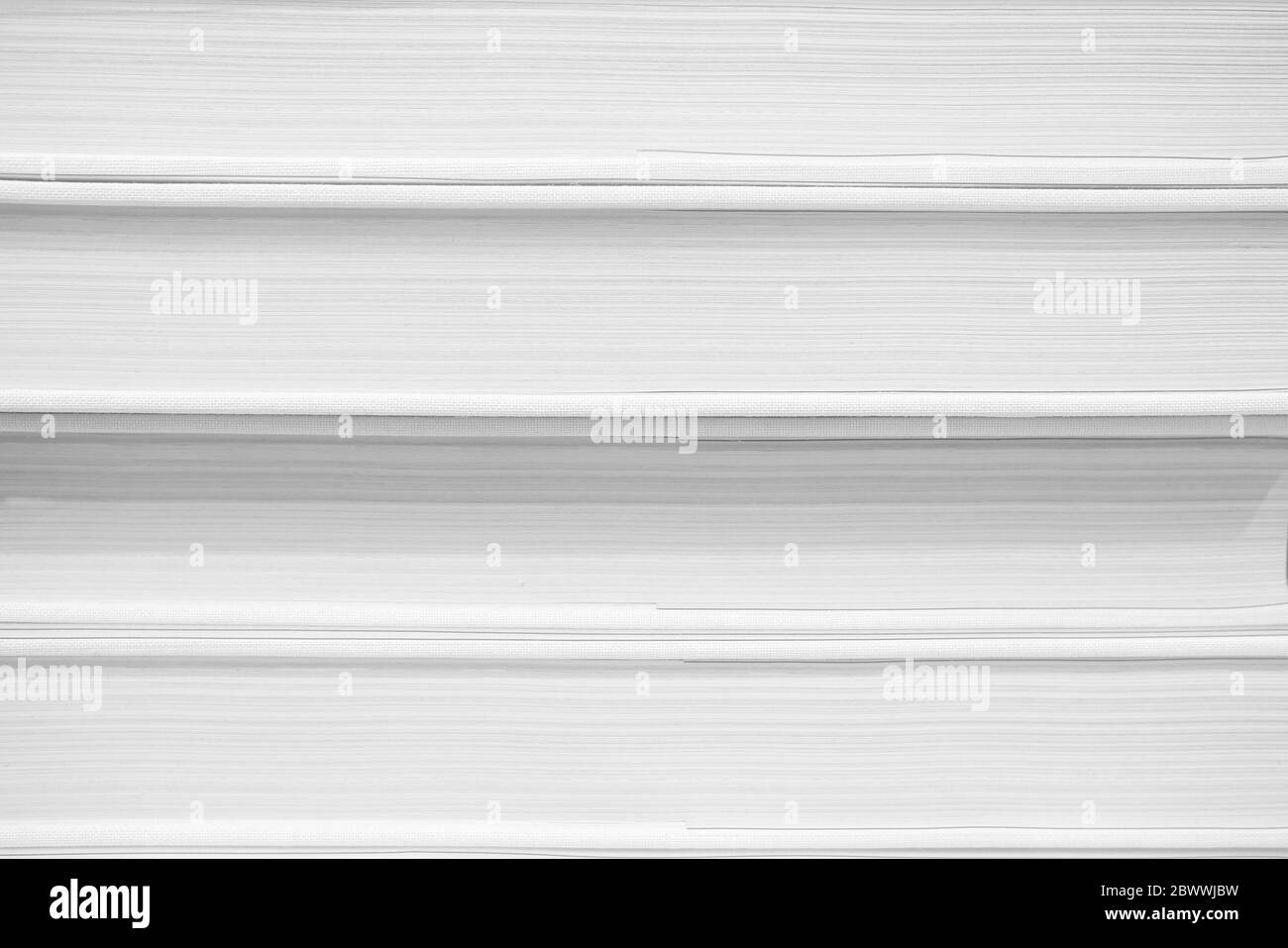 Side macro closeup view Black and White Stock Photos & Images - Alamy