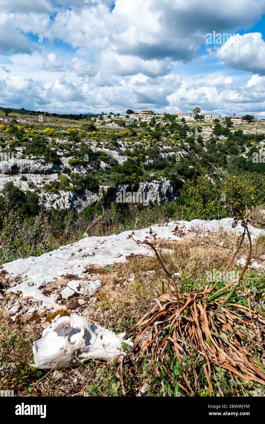 colors of june in sicily Stock Photo - Alamy