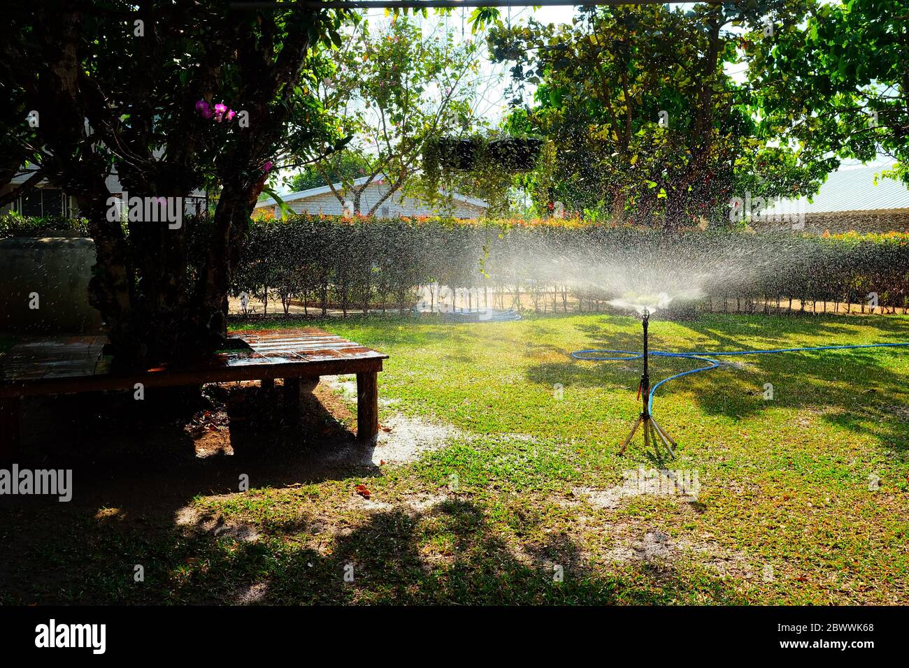 Water Sprinkle in the Garden Stock Photo - Alamy