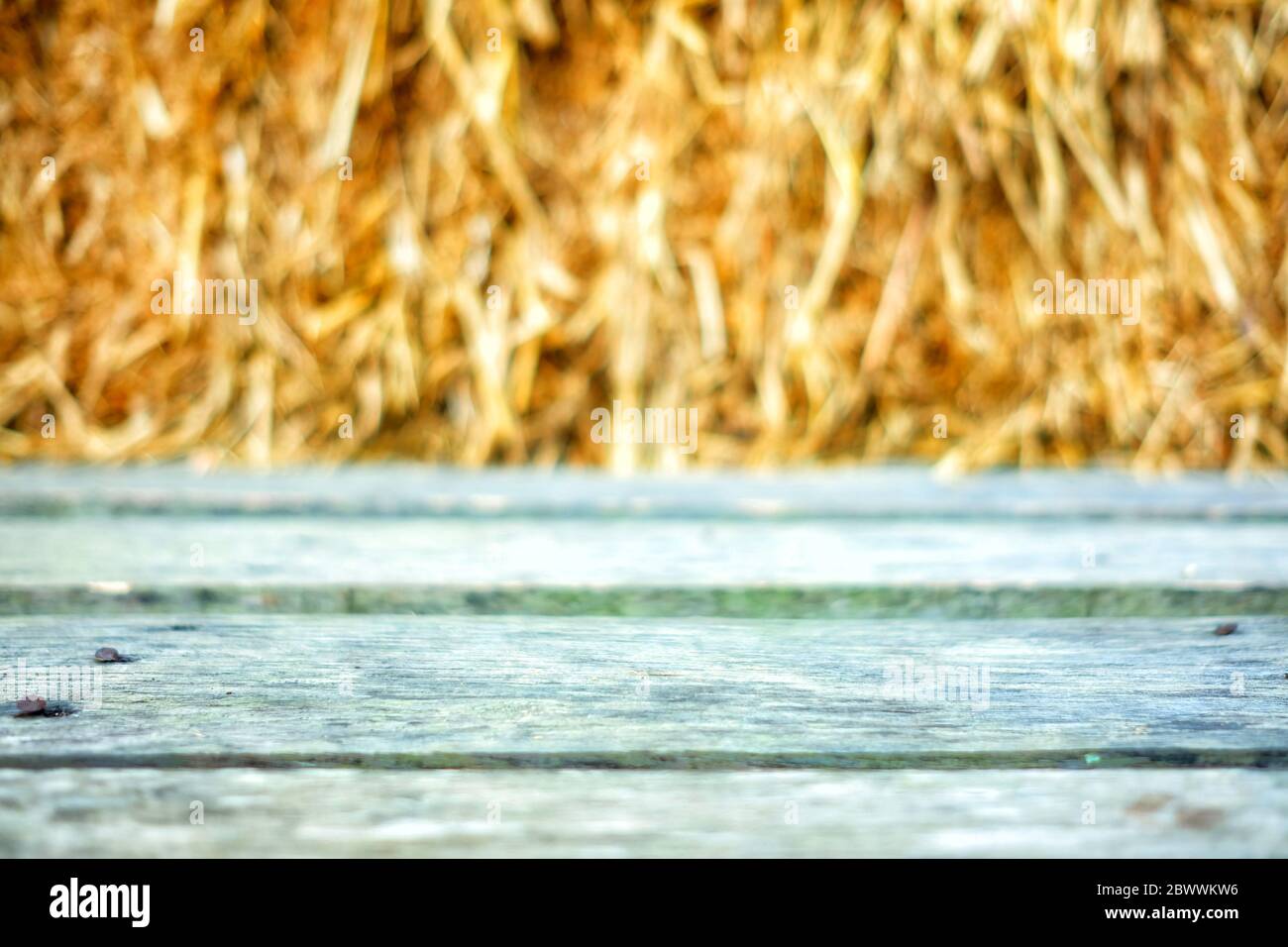 Straw bale table hi-res stock photography and images - Alamy