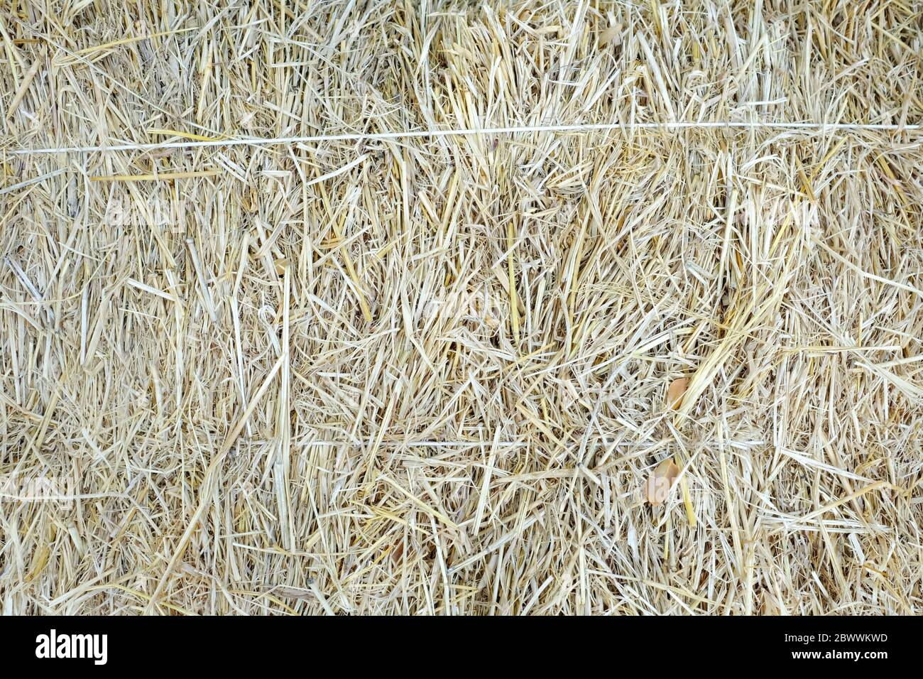 Straw Texture Background Stock Photo - Alamy