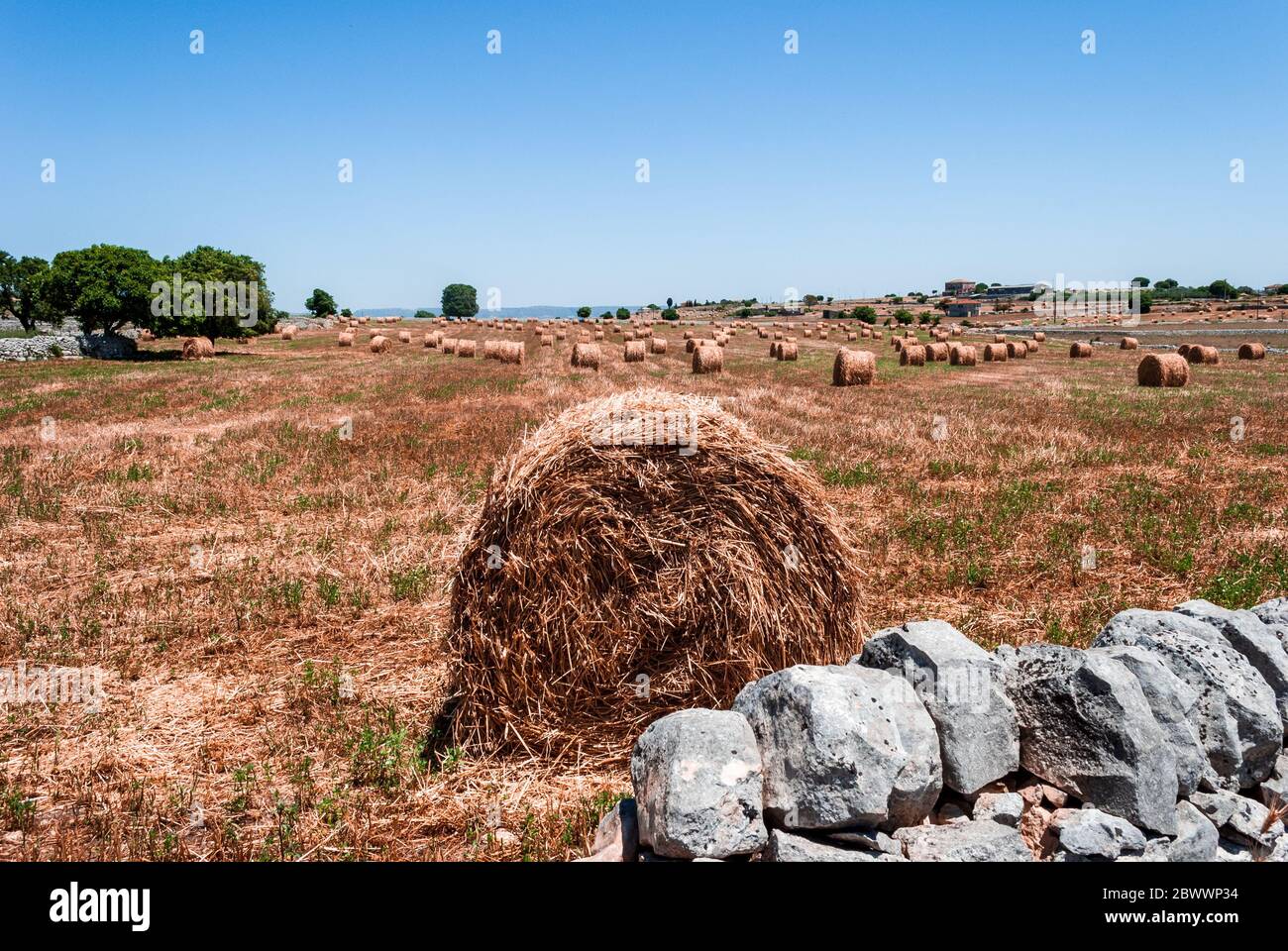 colors of june in sicily Stock Photo - Alamy