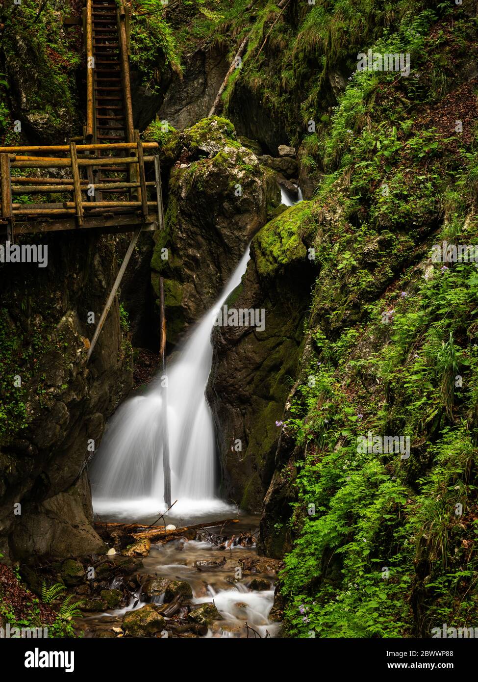 Vogelsang Gorge in Upper Austria on a cloudy day in summer. This is the ...