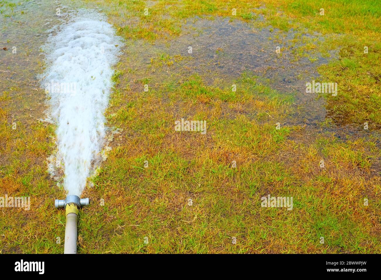 Stream of Water From Hose in the Green Field Stock Photo - Alamy