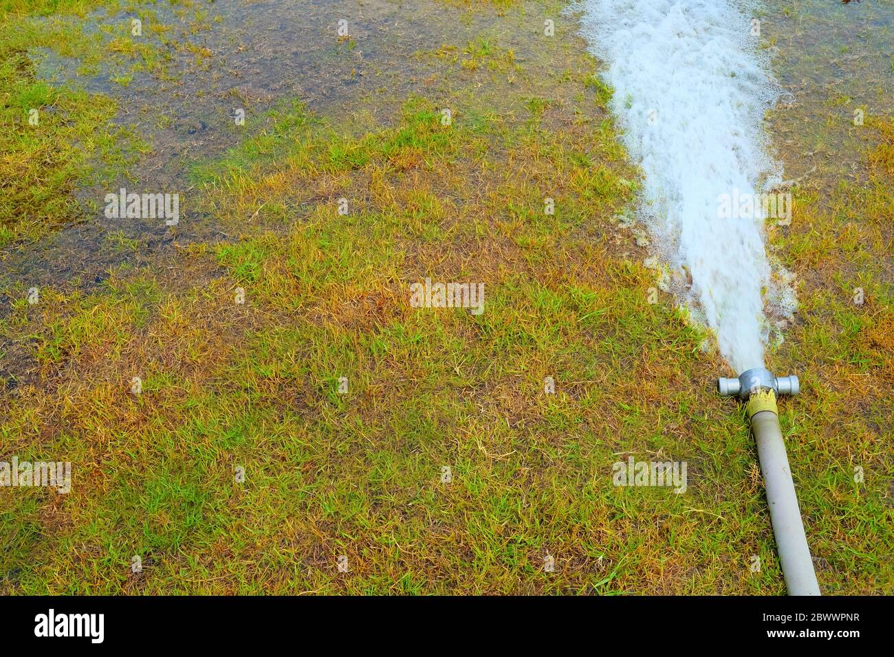 Stream of Water From Hose in the Green Field Stock Photo - Alamy
