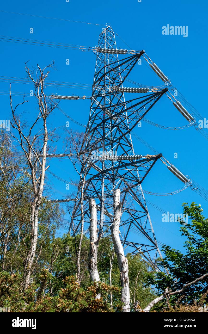 A high voltage electricity pylon with a dead tree in the foreground ...