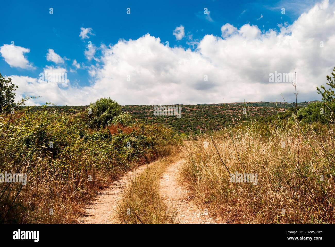colors of june in sicily Stock Photo - Alamy