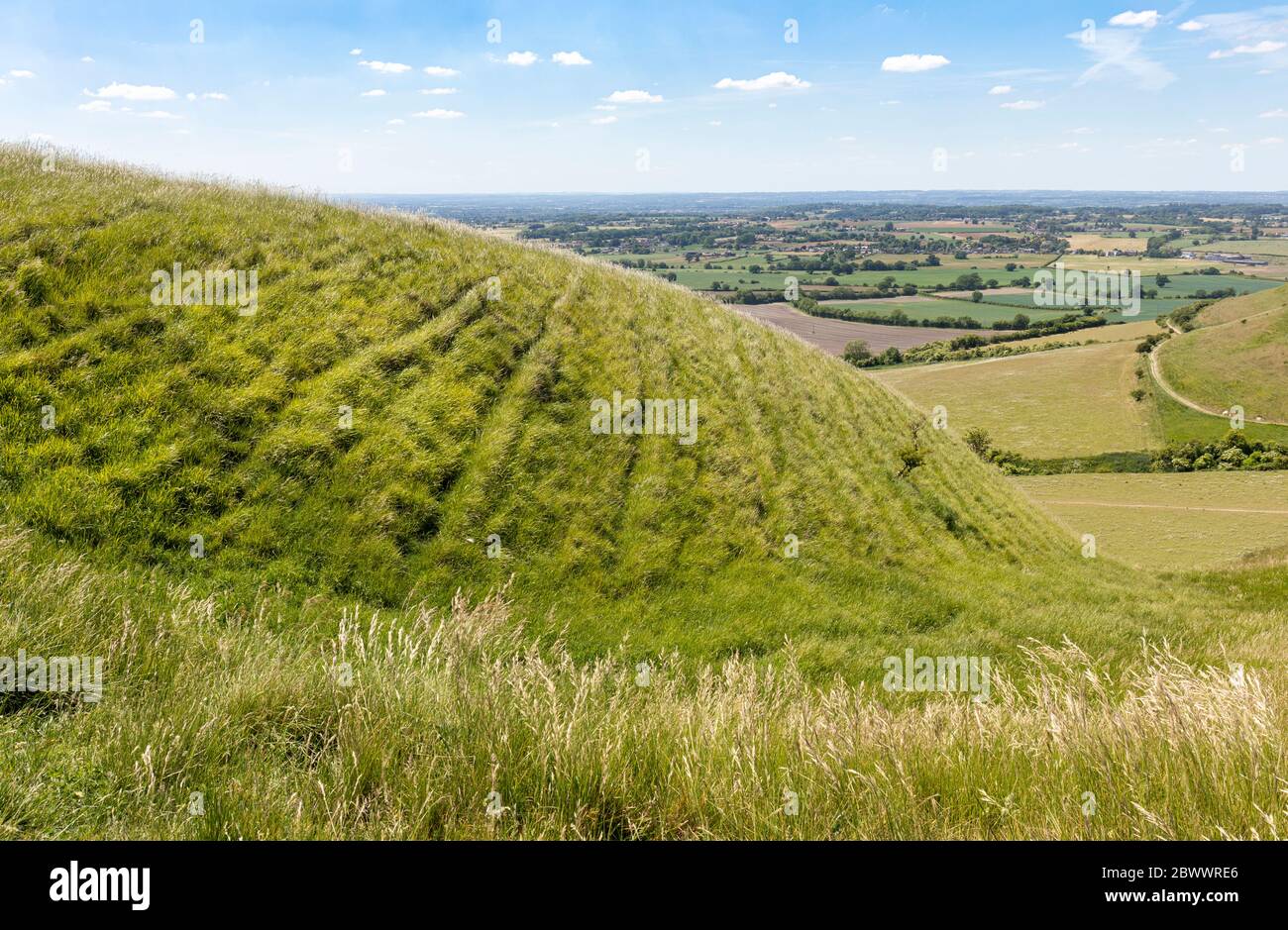 Views from Oliver's Castle an iron age hill fort, Roundway Hill, near ...