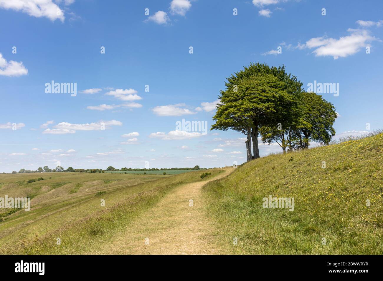 Oliver's Castle an iron age hill fort, Roundway Hill, near Devizes ...