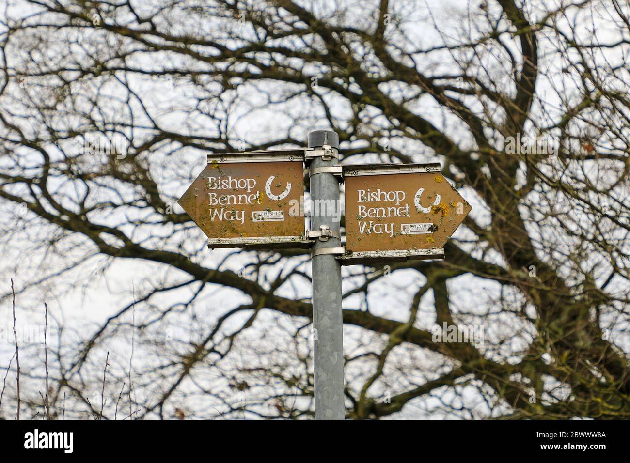 The Bishop Bennet Way is a route for horse riding also used by walkers ...