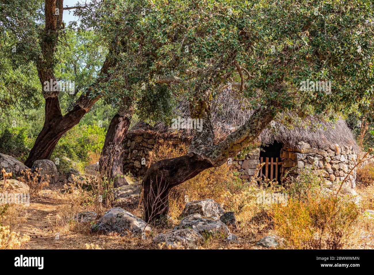 Italy Sardinia - Giara di gesturi - Hut of the Sardinian Shepherds ...