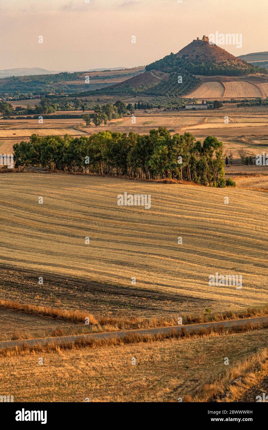 Italy Sardinia - Marmilla landscape and countryside Stock Photo - Alamy