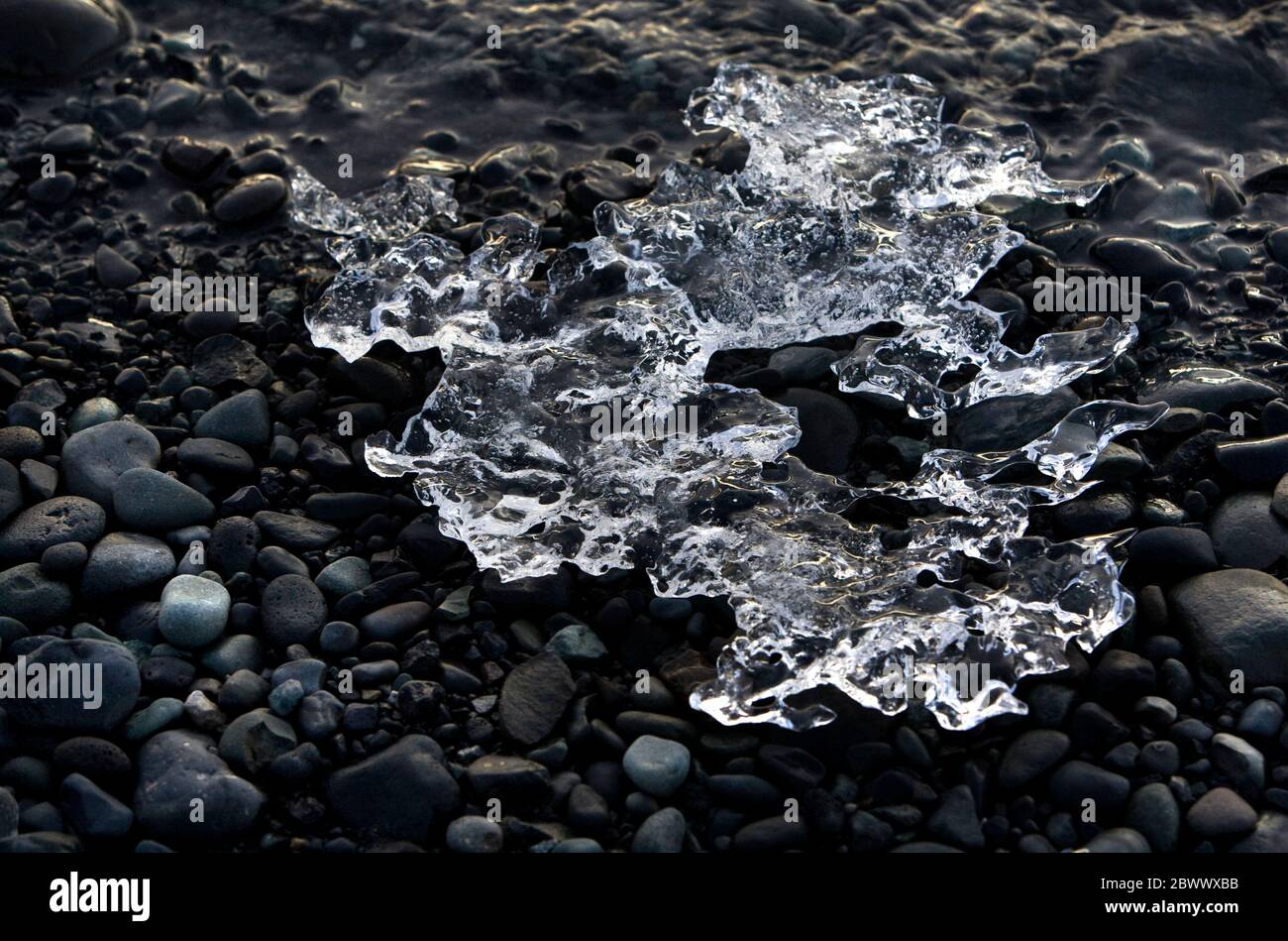 A shard of clear ice from an iceberg lies on the black volcanic pebbles ...