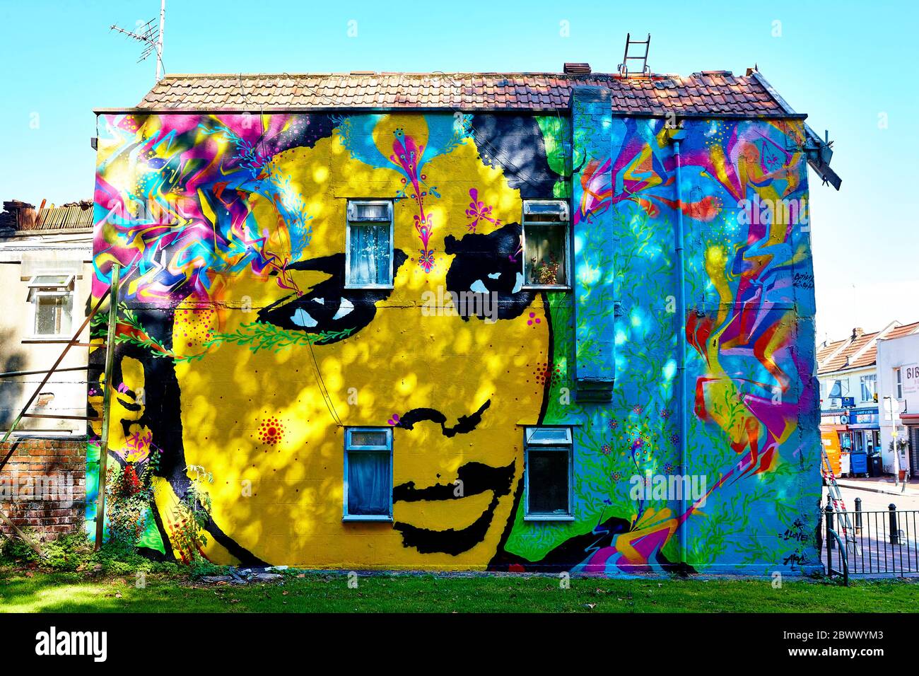Wall Mural by Stinkfish on a house in the city of Bristol, England UK ...