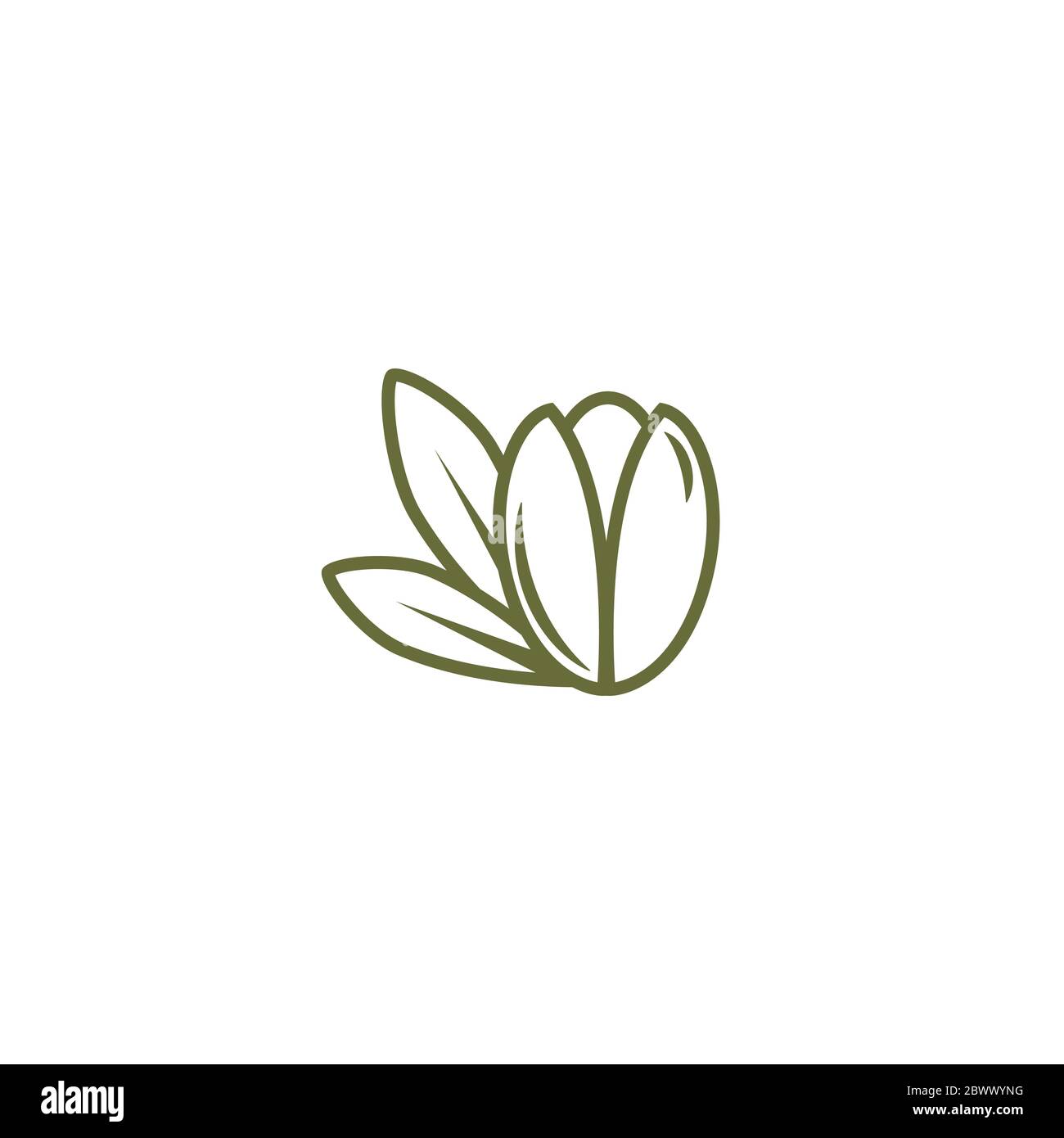 Argan oil vector vectors hi-res stock photography and images - Alamy