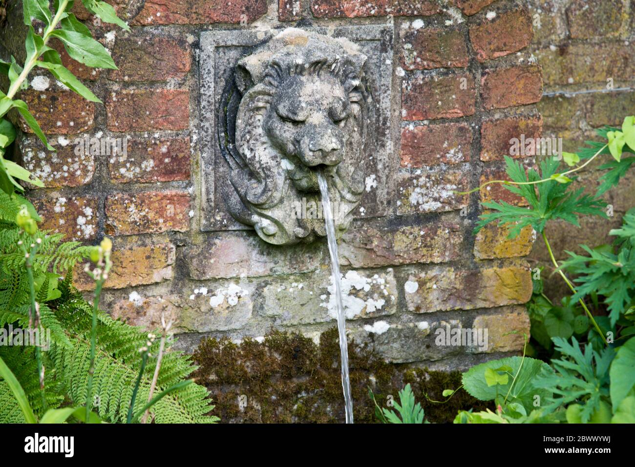 Waterfall in the shape of a lion's head Stock Photo - Alamy