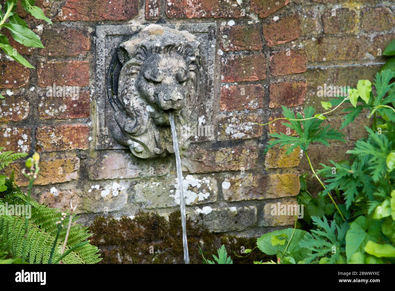 Lions head water feature hi-res stock photography and images - Alamy