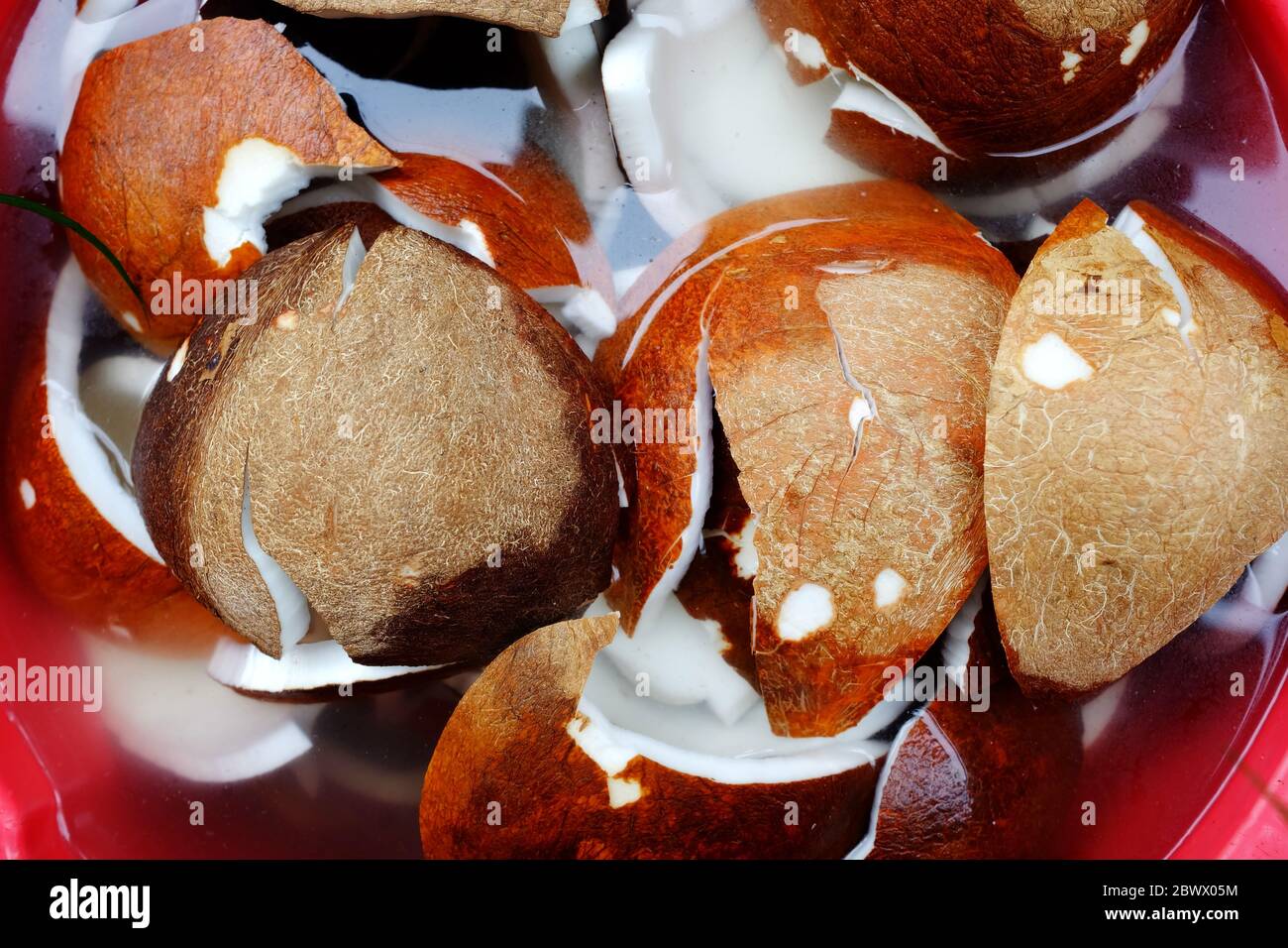 Coconut meat pieces hi-res stock photography and images - Alamy