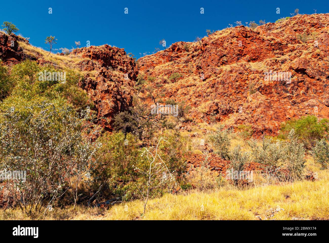Pilbara desert aboriginal hi-res stock photography and images - Alamy