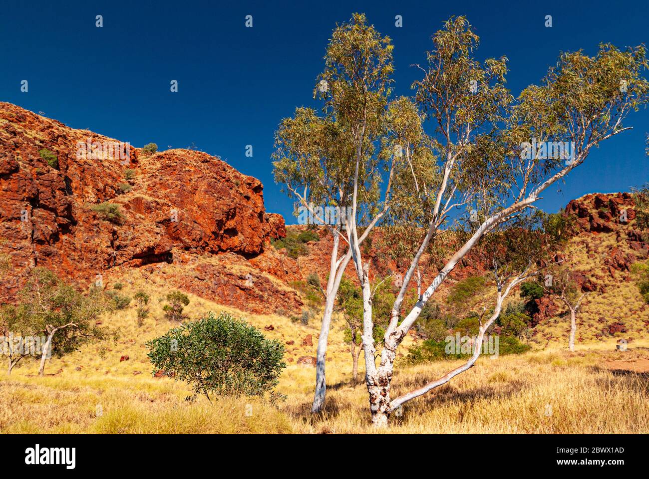 Pilbara desert aboriginal hi-res stock photography and images - Alamy