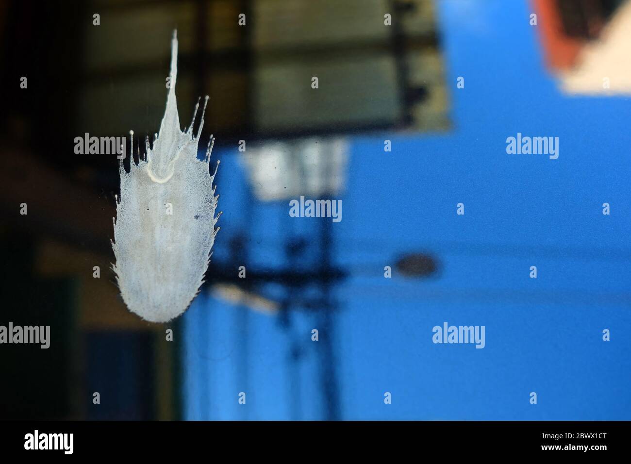 Close up Stain of Cement Water Spot on Car Paint, Suitable for Car Care ...